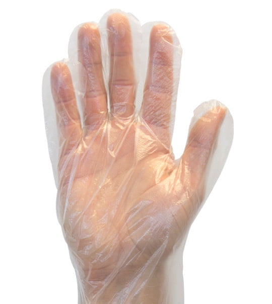 Sunset Brands Disposable Powder Free Poly Gloves - Unisex - 1,000 Ct ...