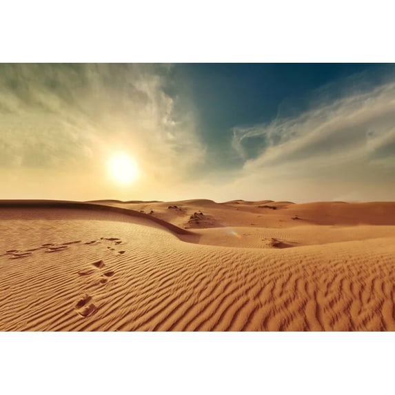 Sunset Sunshine Dessert Scenic Party Photographic Backdrop Photo ...