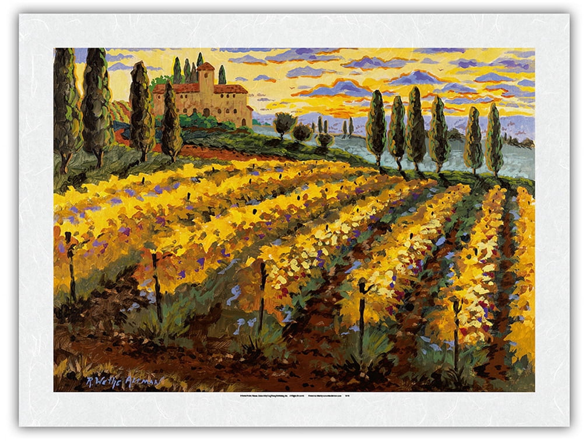Sunset on the Vineyard - Italy - Italian Villa Vineyards Cypress Trees ...