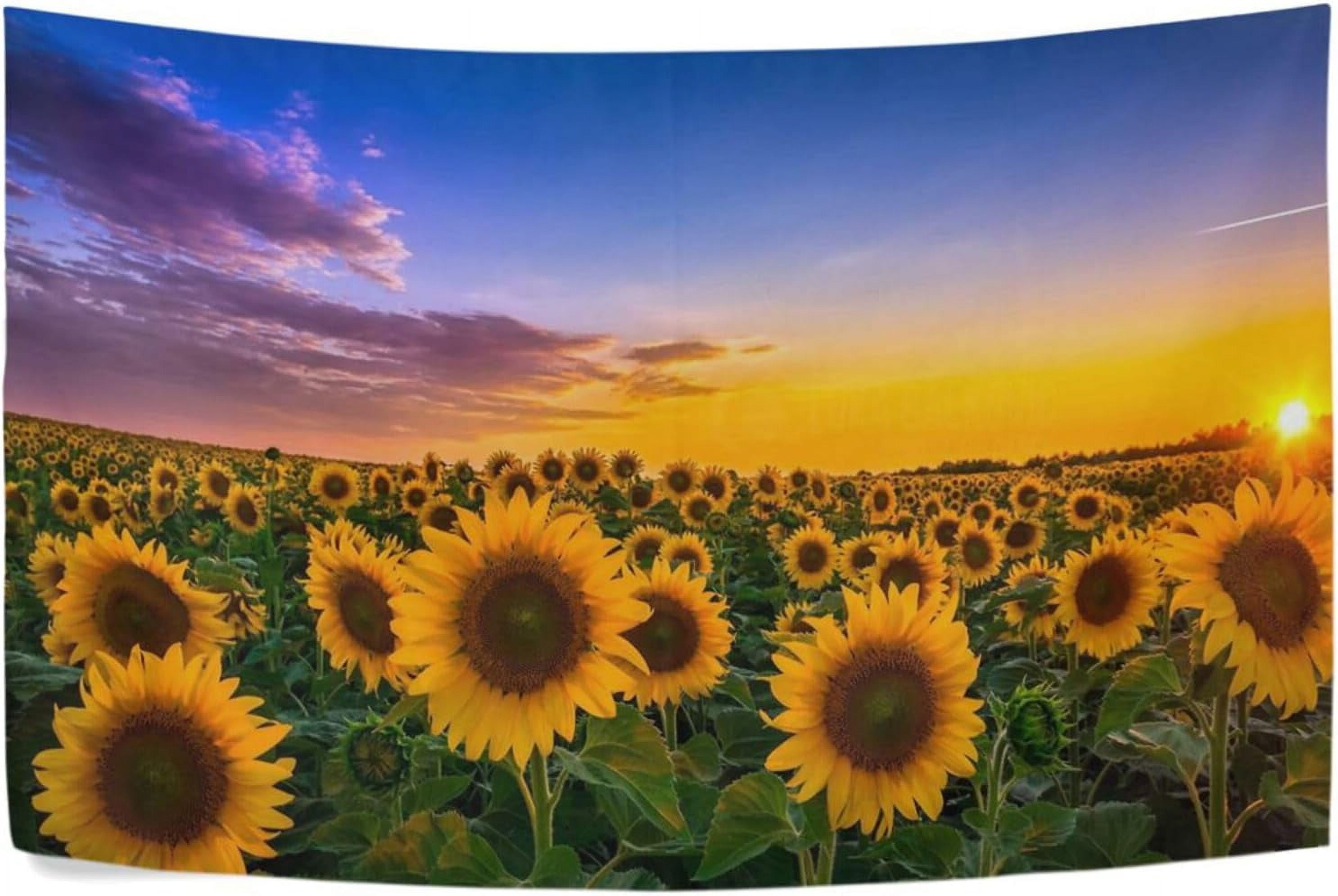 Sunset and Sunflower Tapestry Aesthetic Tapestry Wall Hanging 90" x 60 ...