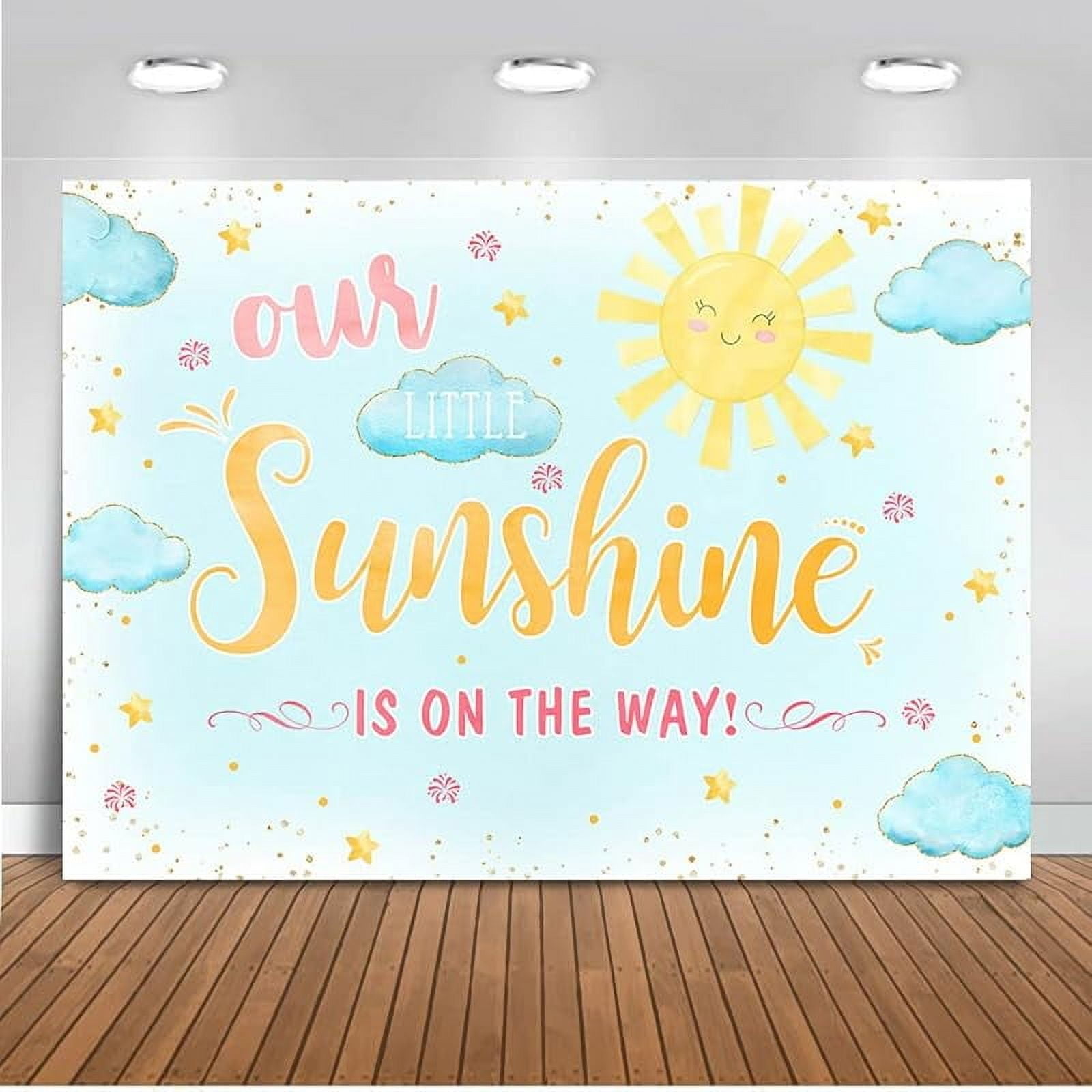 Sunshine Baby Shower Backdrop Sun and Cloud Girl Baby Shower Background ...