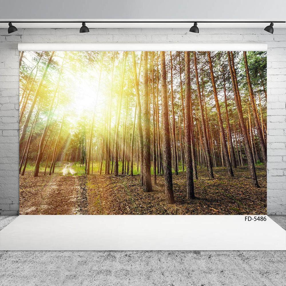 Sunshine Grove Fallen Leaves Photography Background Custom Backdrop for ...