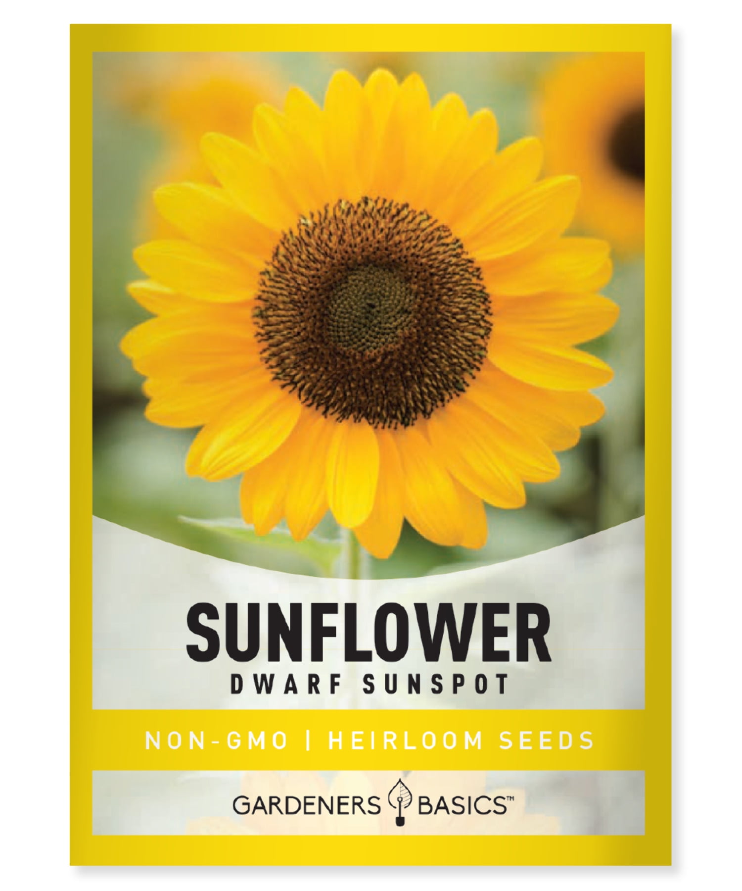 Sunspot Sunflower Seeds, Dwarf Sunspot, Open-Pollinated - Walmart.com