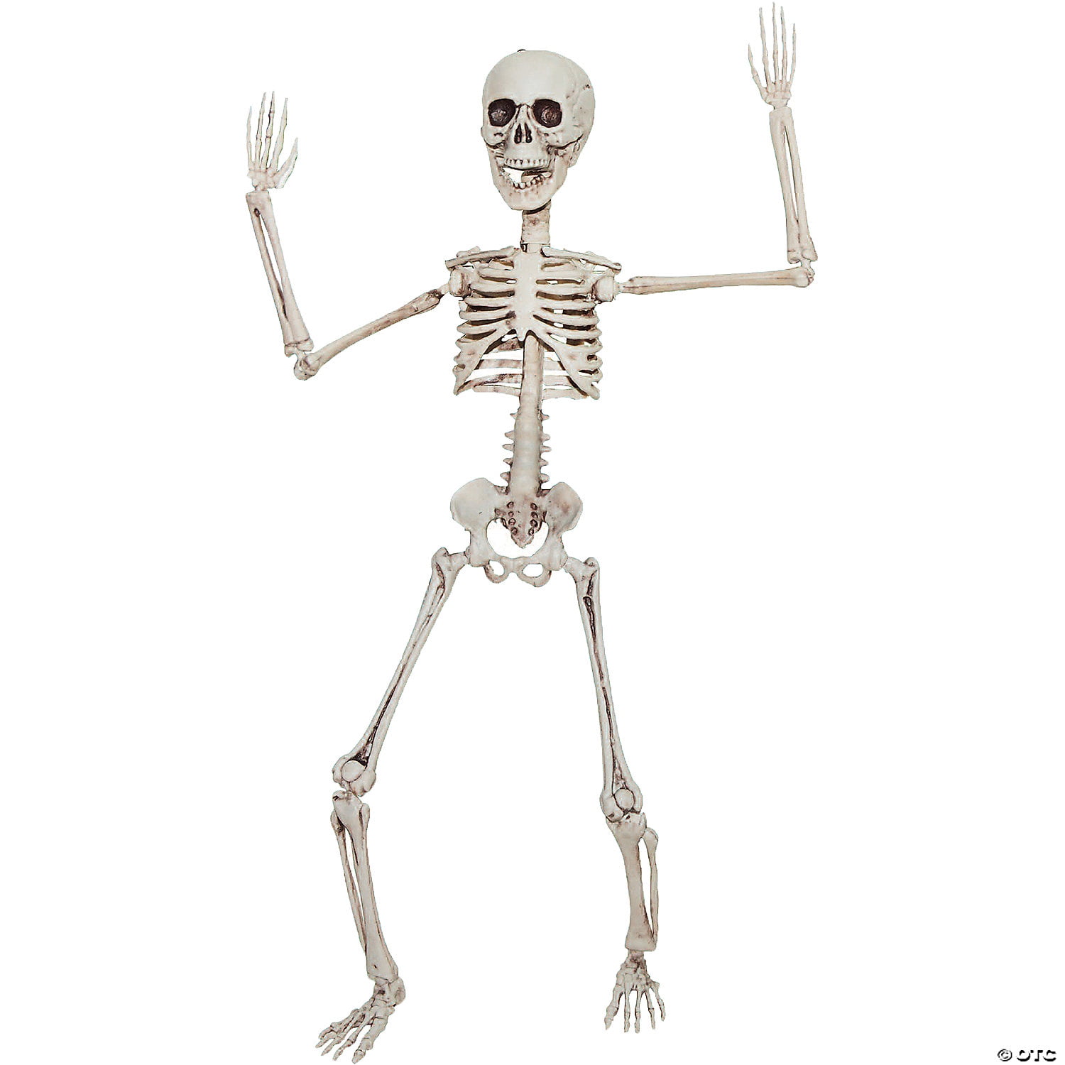 Sunstar 19 in Halloween Poseable Skeleton - Walmart.com