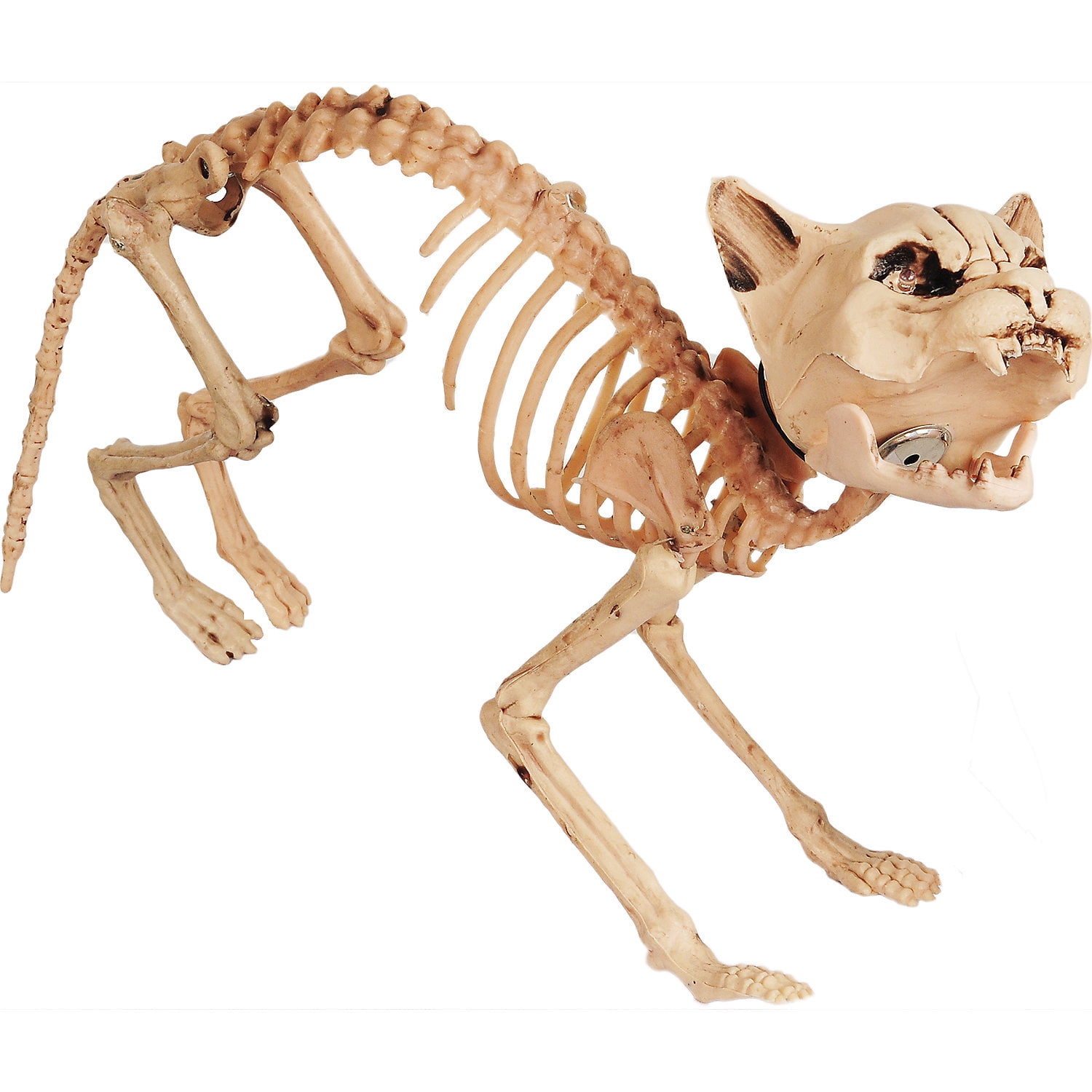 Sunstar 23" Sonic Realistic Skeleton Cat Decoration - Walmart.com