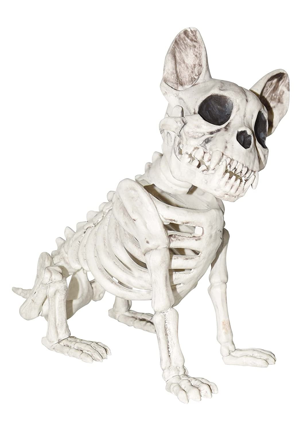 Sunstar 17in Dog Skeleton Decor - Movable Jaw, Ideal for Halloween ...