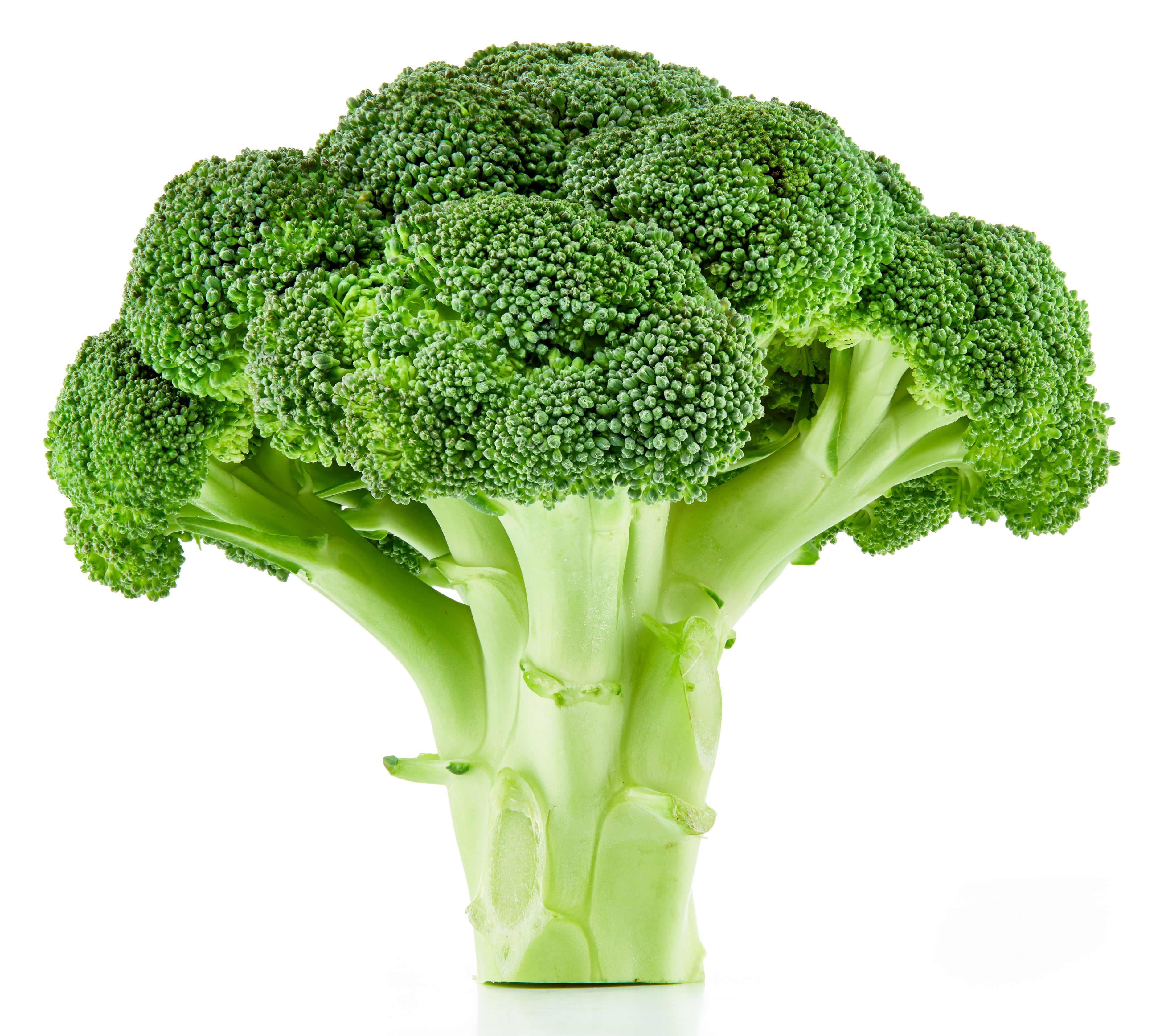 Sunutri Seeds Broccoli Seeds - 250 Count, Non-GMO - Walmart.com