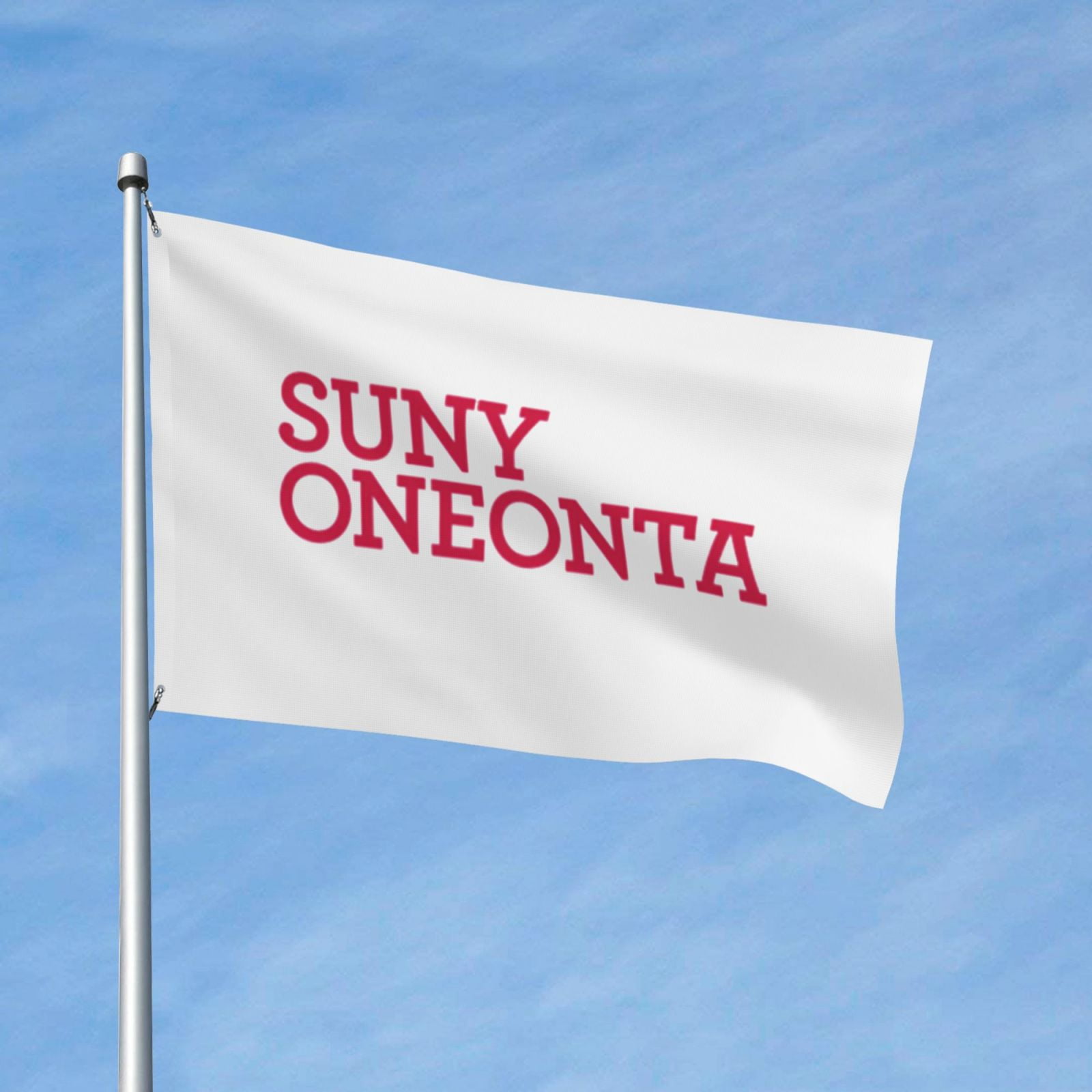 Suny Oneonta 3x5 Ft Flag Double Sided Indoor Outdoor Double Stitched Polyester Flag With 2 ...