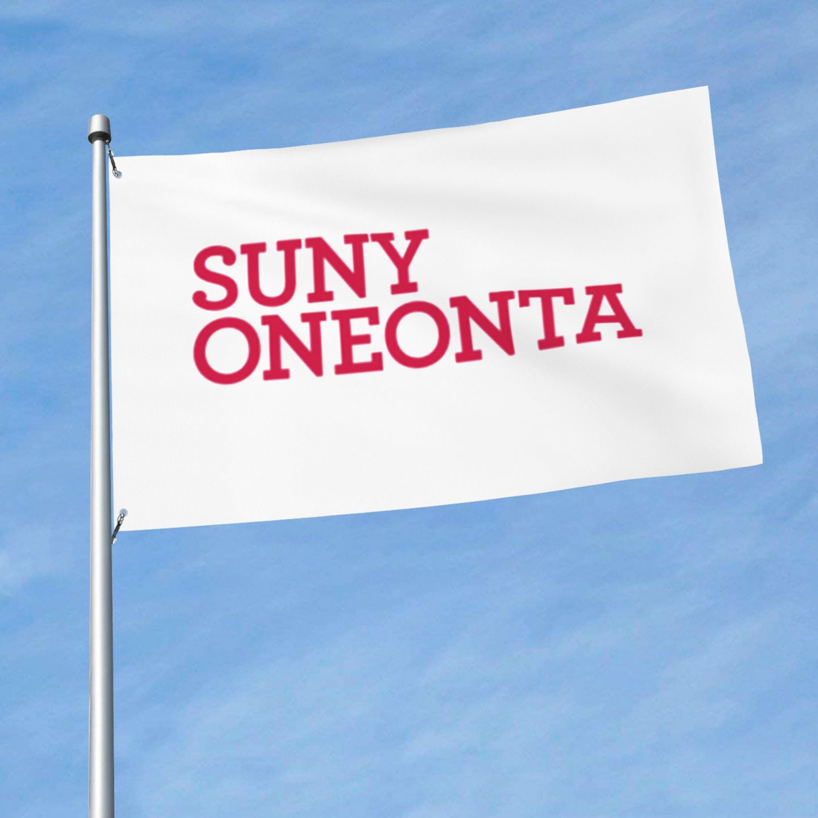 Suny Oneonta Flag 3x5 Outdoor ,Sewn Stripes, Stronger Brass Grommets, Flags Perfect For Outside ...