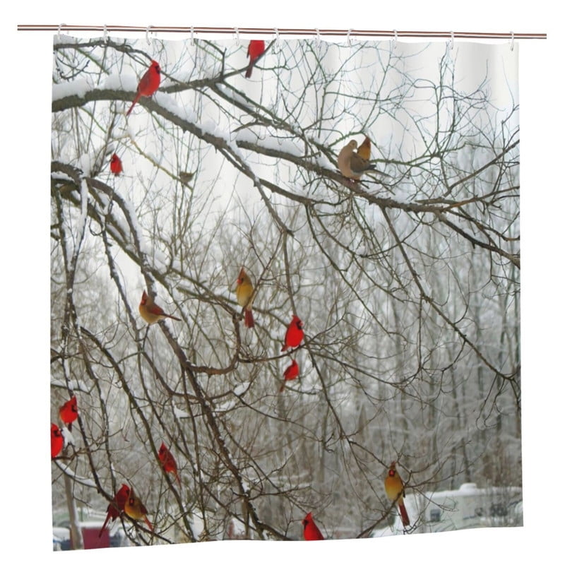 Sunyuer Cute Cardinal Birds on Branch Shower Curtain for Bathroom ...