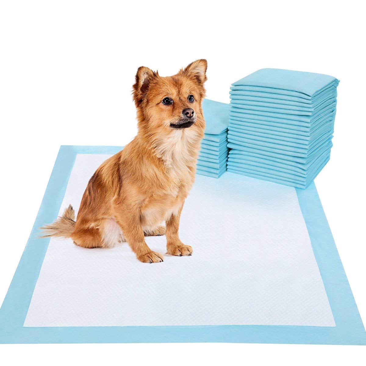 Super Absorbent Large Waterproof Pet Training Pads, 20-Pack, Blue ...