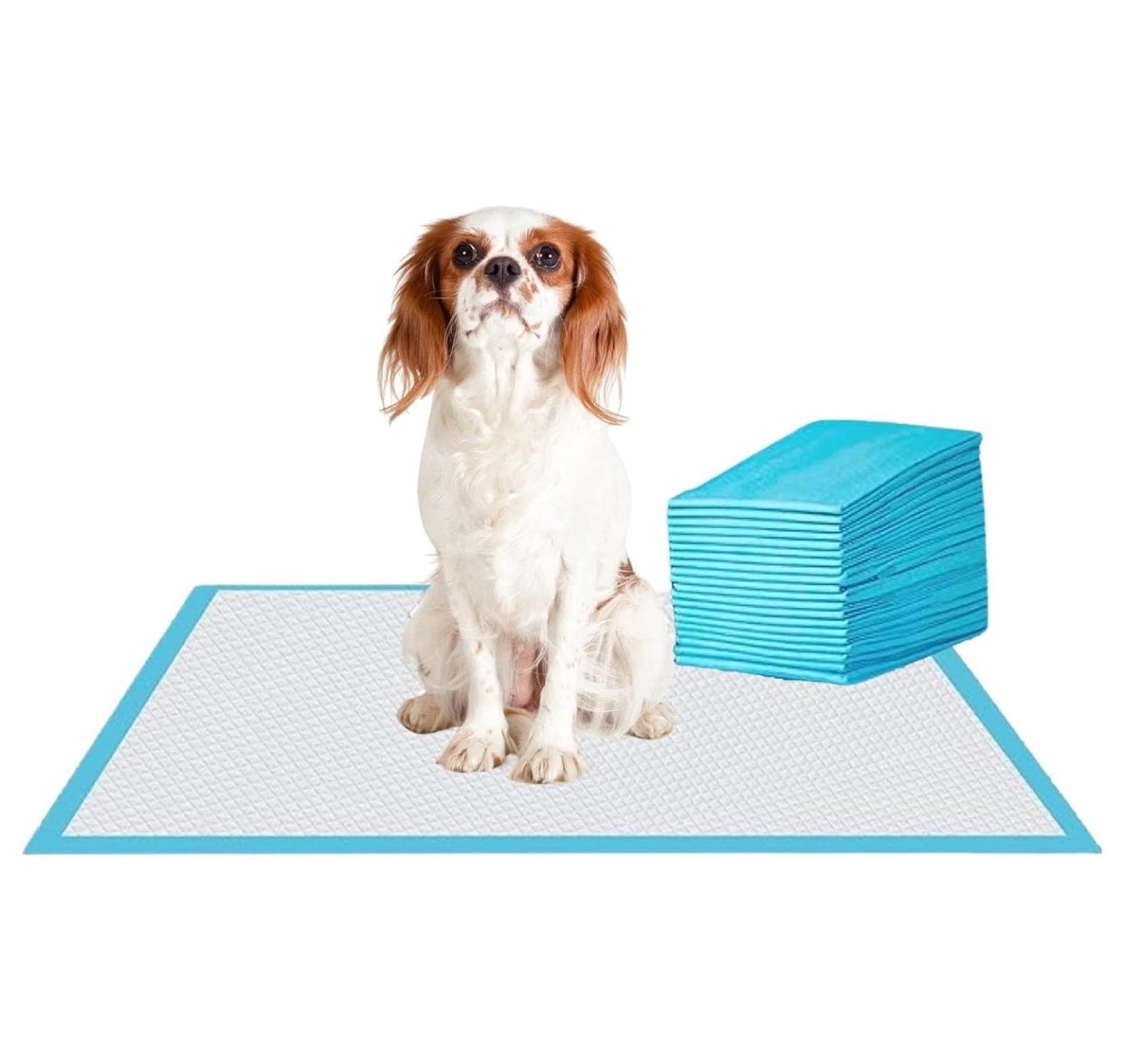 Super Absorbent, Puppy Potty Pads | Heavy Duty, Disposable & Quick ...