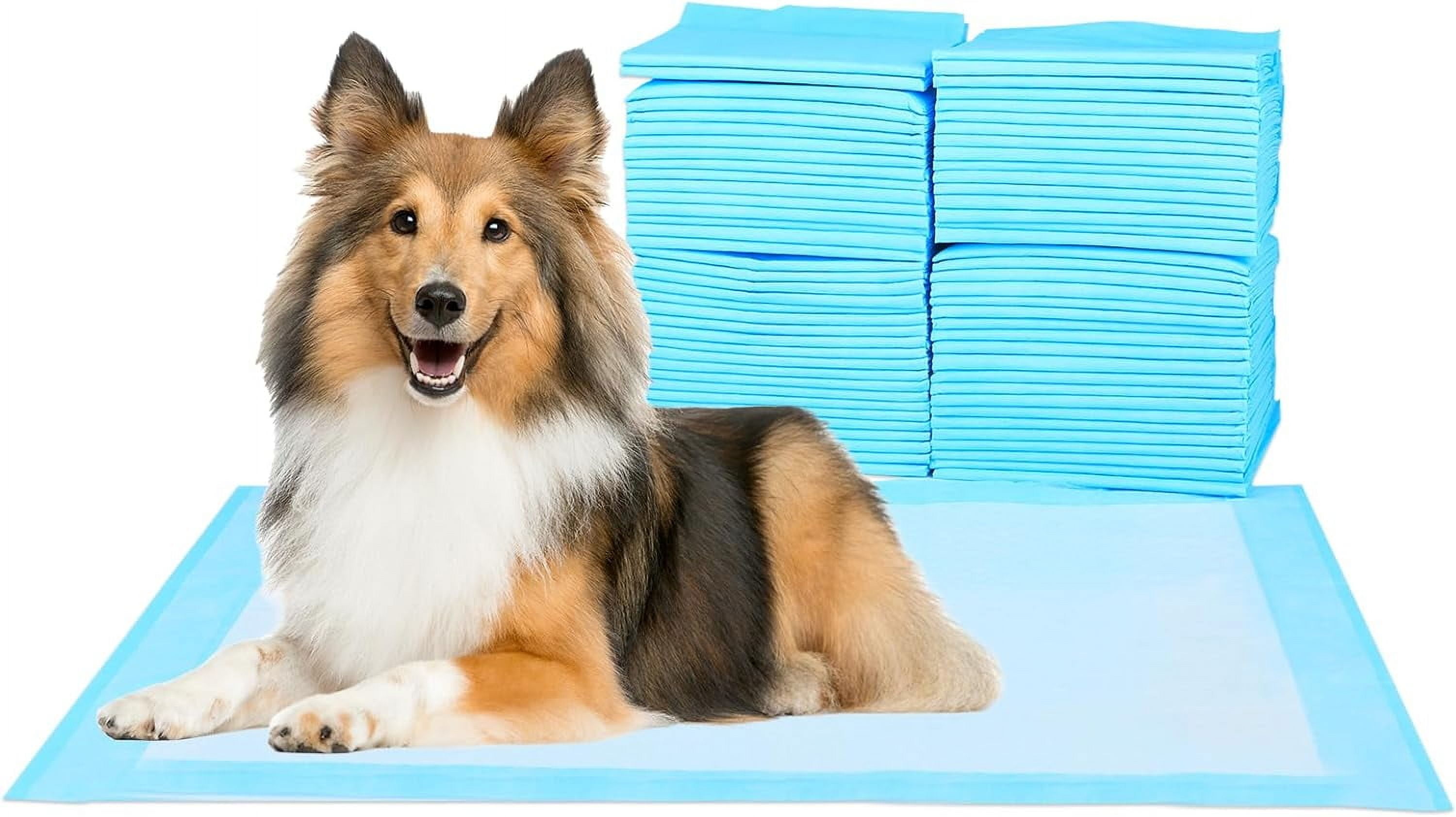Super-Absorbent Waterproof Dog and Puppy Pet Training Pad ...