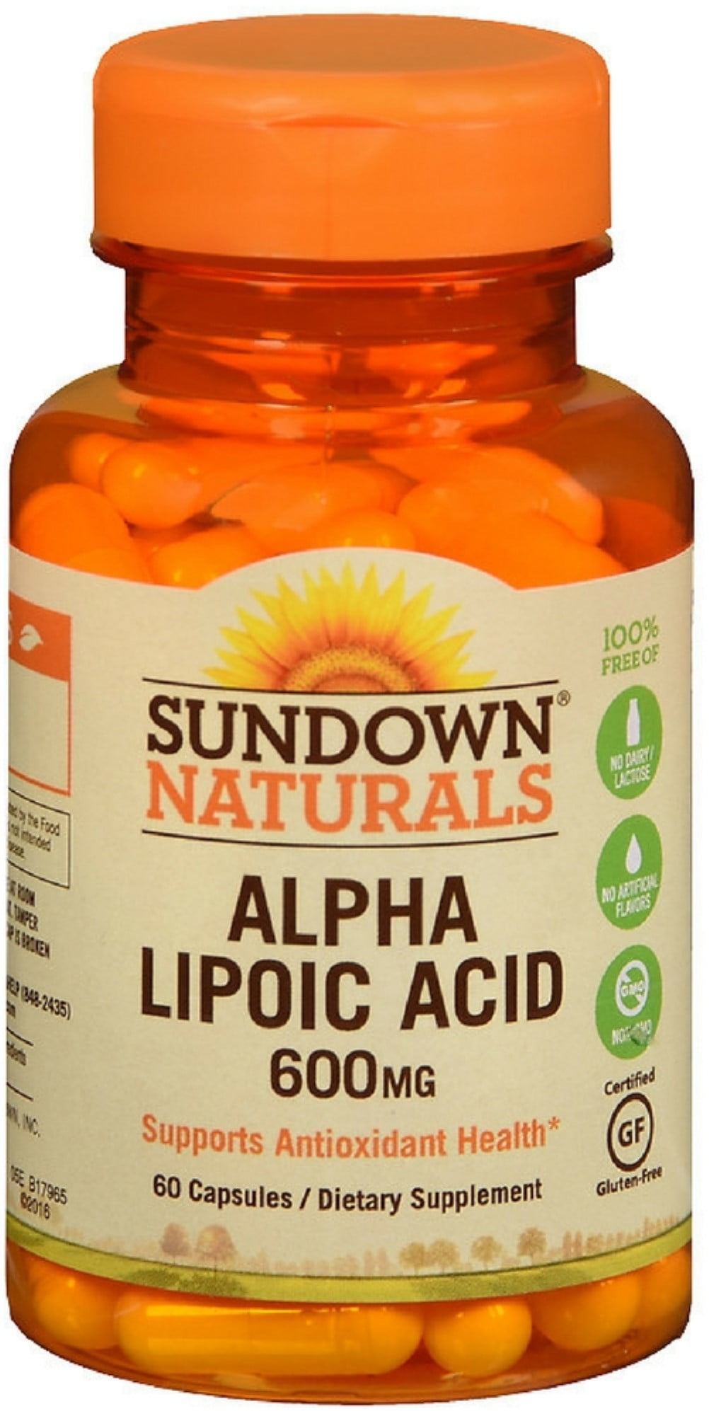 Super Alpha Lipoic Acid, 600mg, Capsules 60 ea - Walmart.com