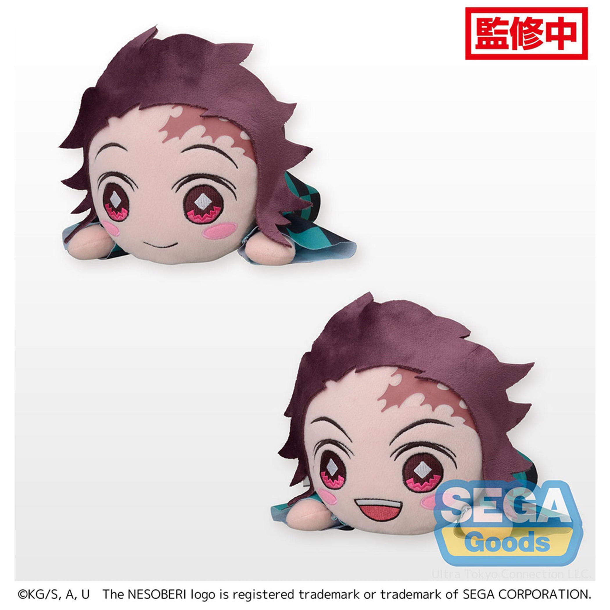 Super Anime Store Demon Slayer Kimetsu No Yaiba: Tanjiro Kamado ...