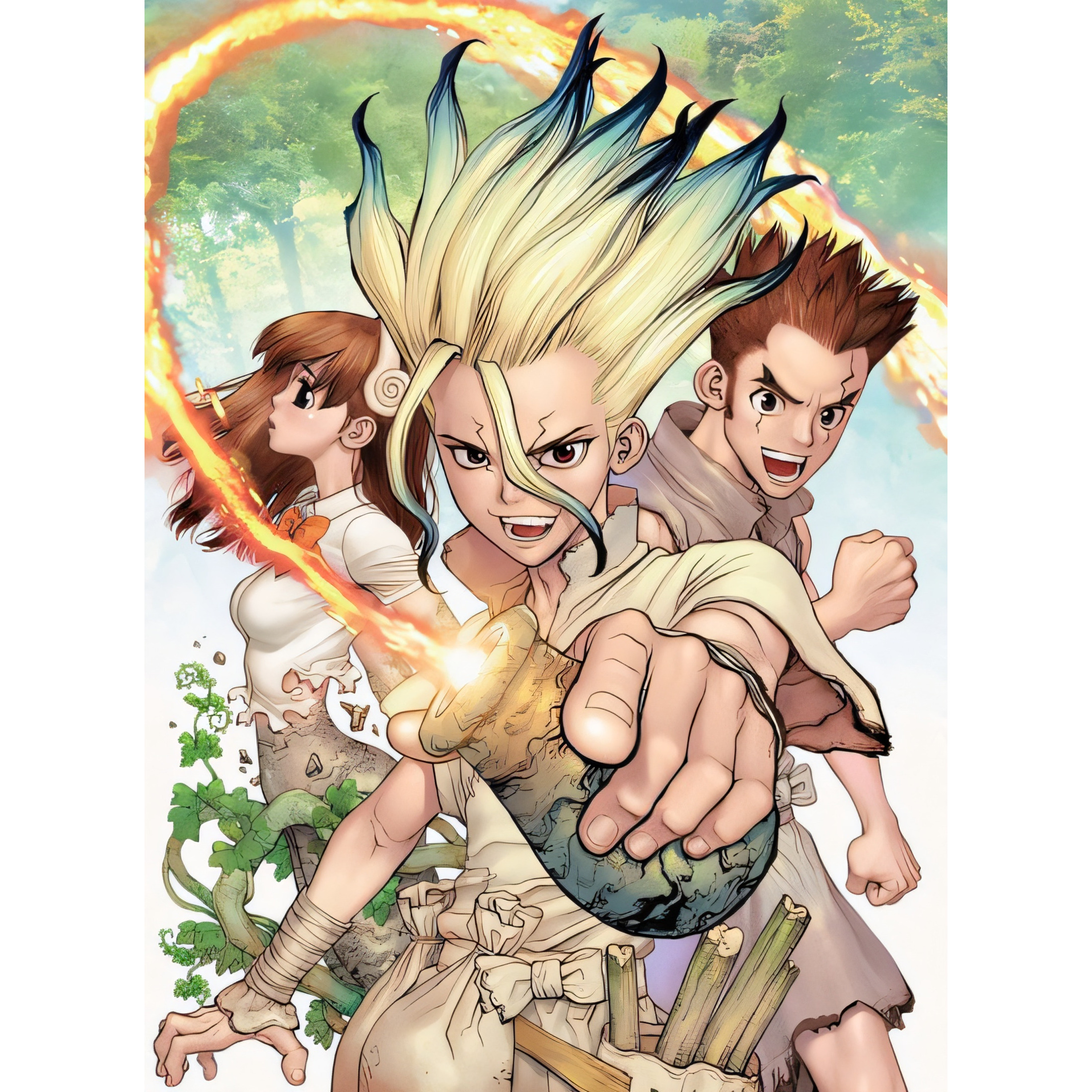 Super Anime Store Dr. Stone Wallscroll - Walmart.com