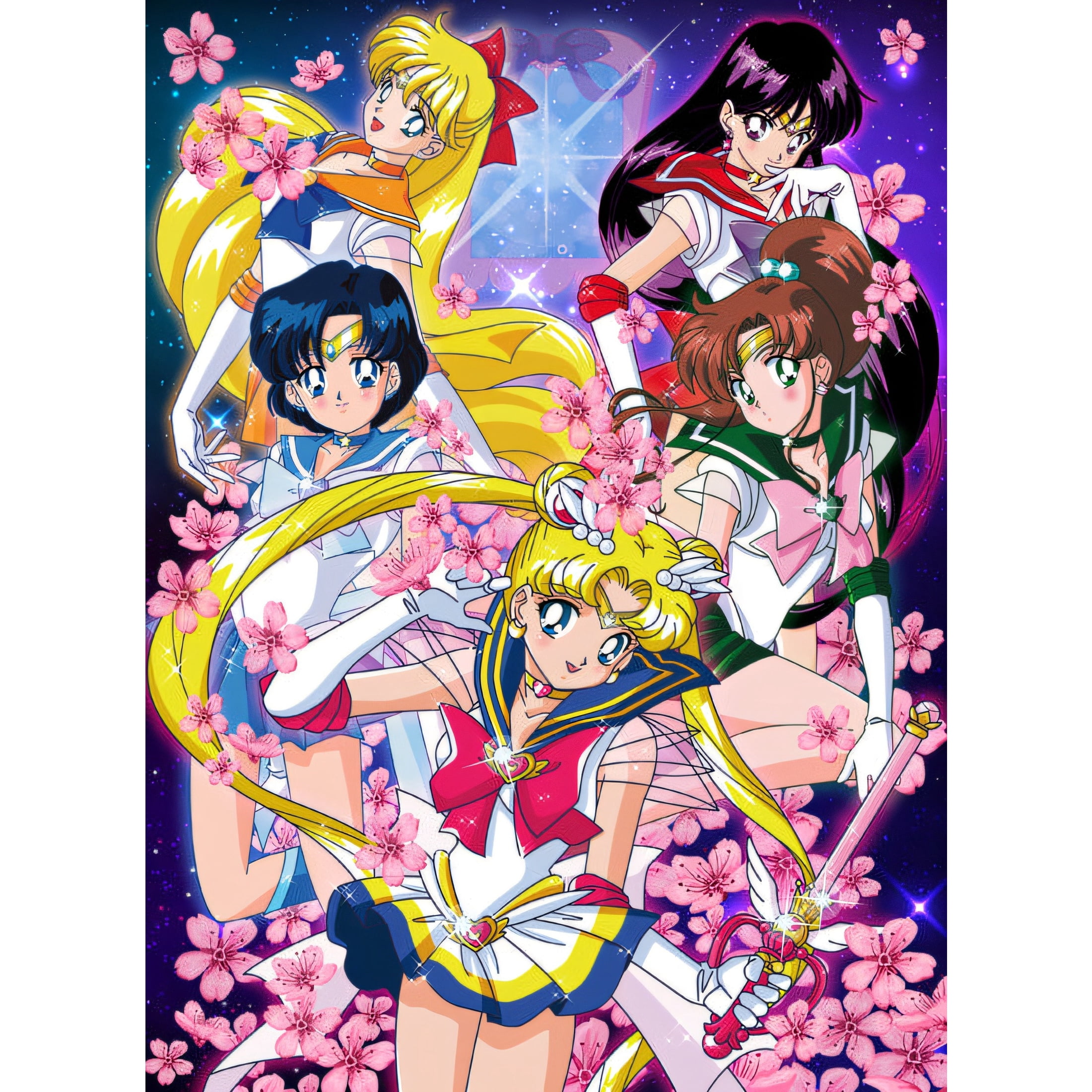Super Anime Store Sailor Moon Wallscroll - Walmart.com
