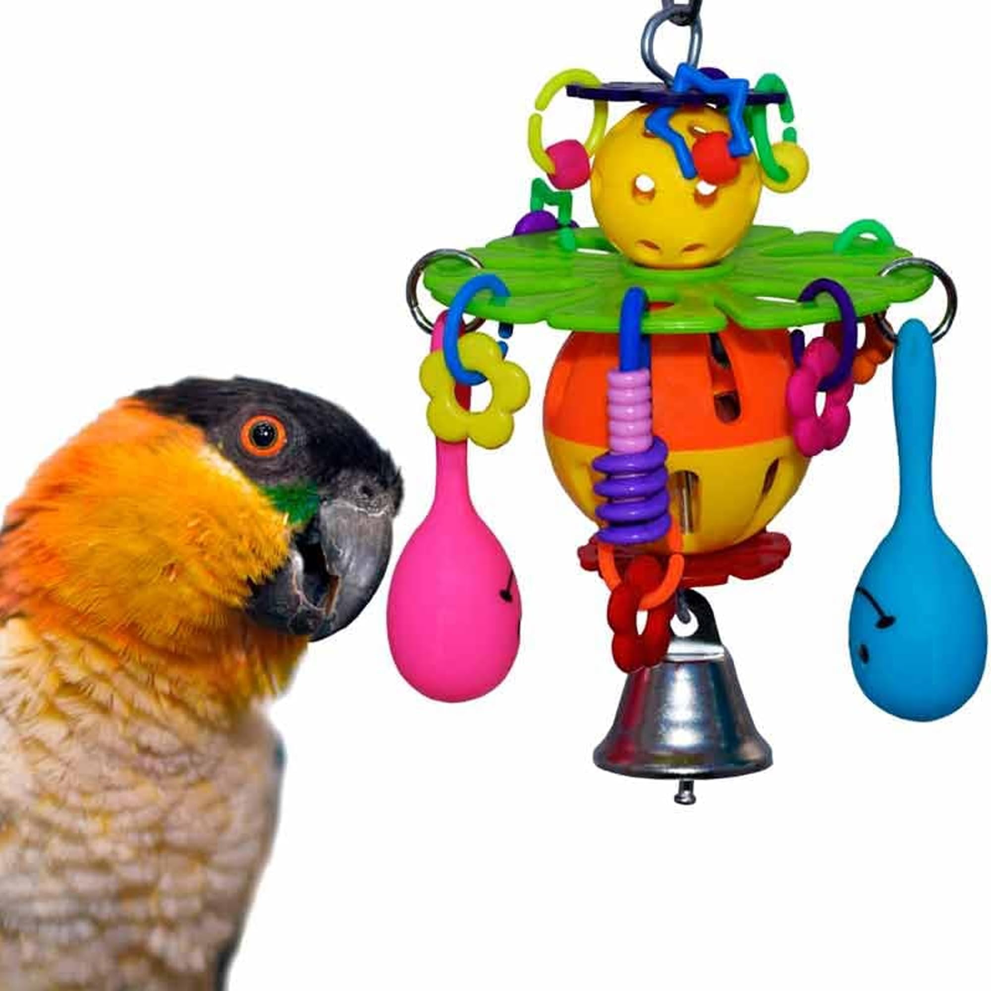 Super Bird Creations SB1132 Maraca Blast Bird Toy - Interactive Toy ...