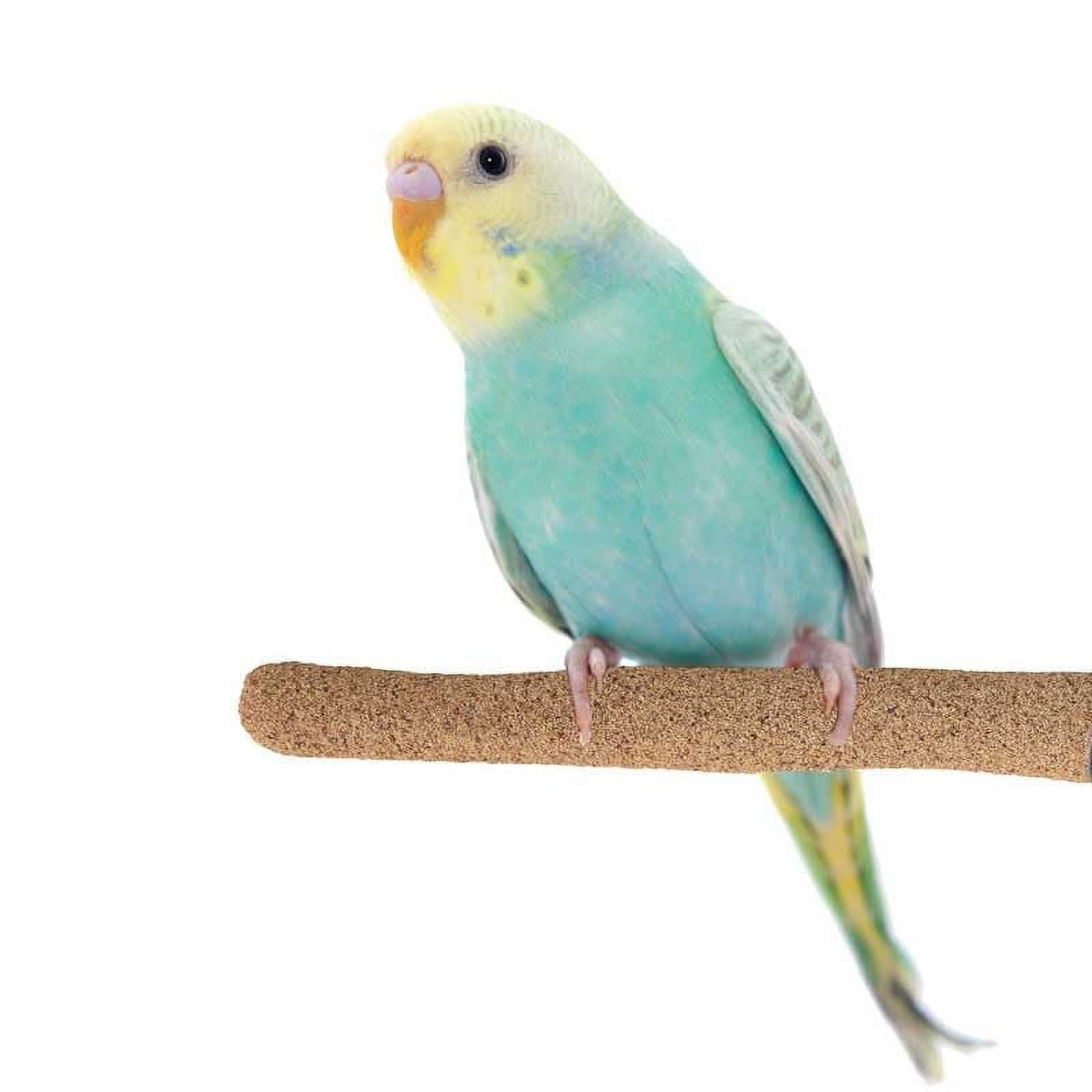 Super Bird Creations SB1151 Sure-Grip Grooming Perch Small, Small Bird ...