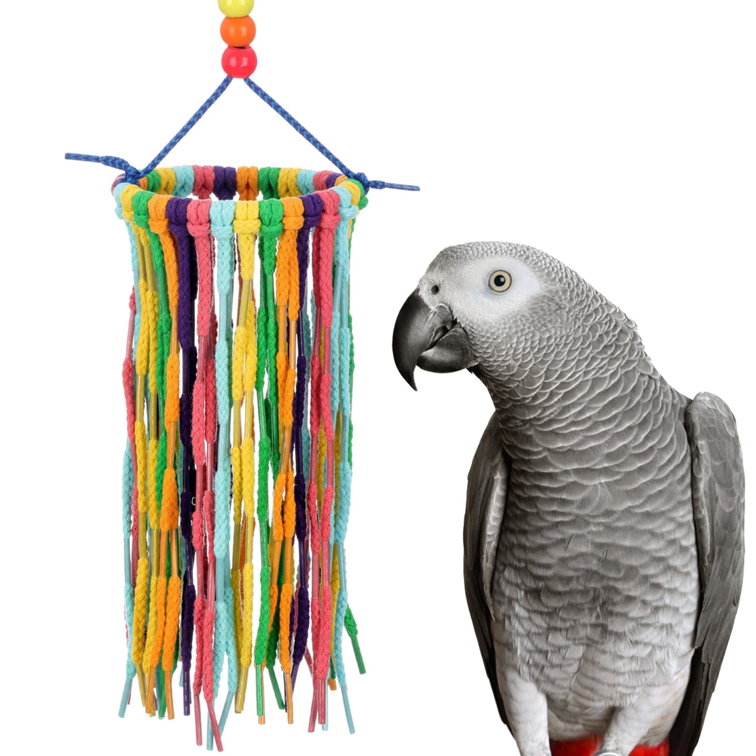 Super Bird Creations SB1203 Large Rainbow Aglets Bird Toy - Satisfies ...