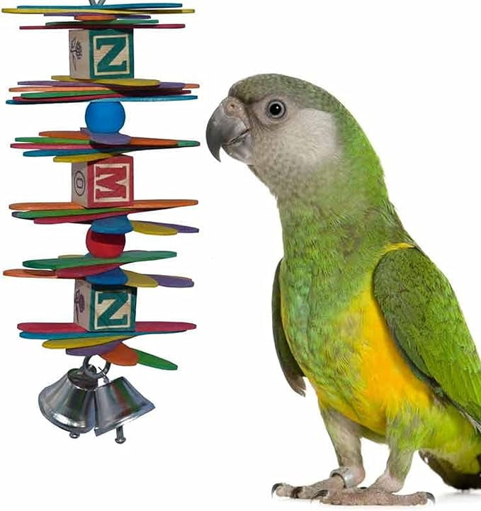 Super Bird Creations SB422 ABC Spoon Stack Bird Toy - Ideal for ...
