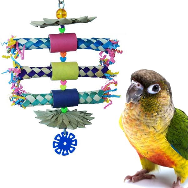 Super Bird Creations SB787 Fiesta Fingers Toy – Engaging Preening and ...