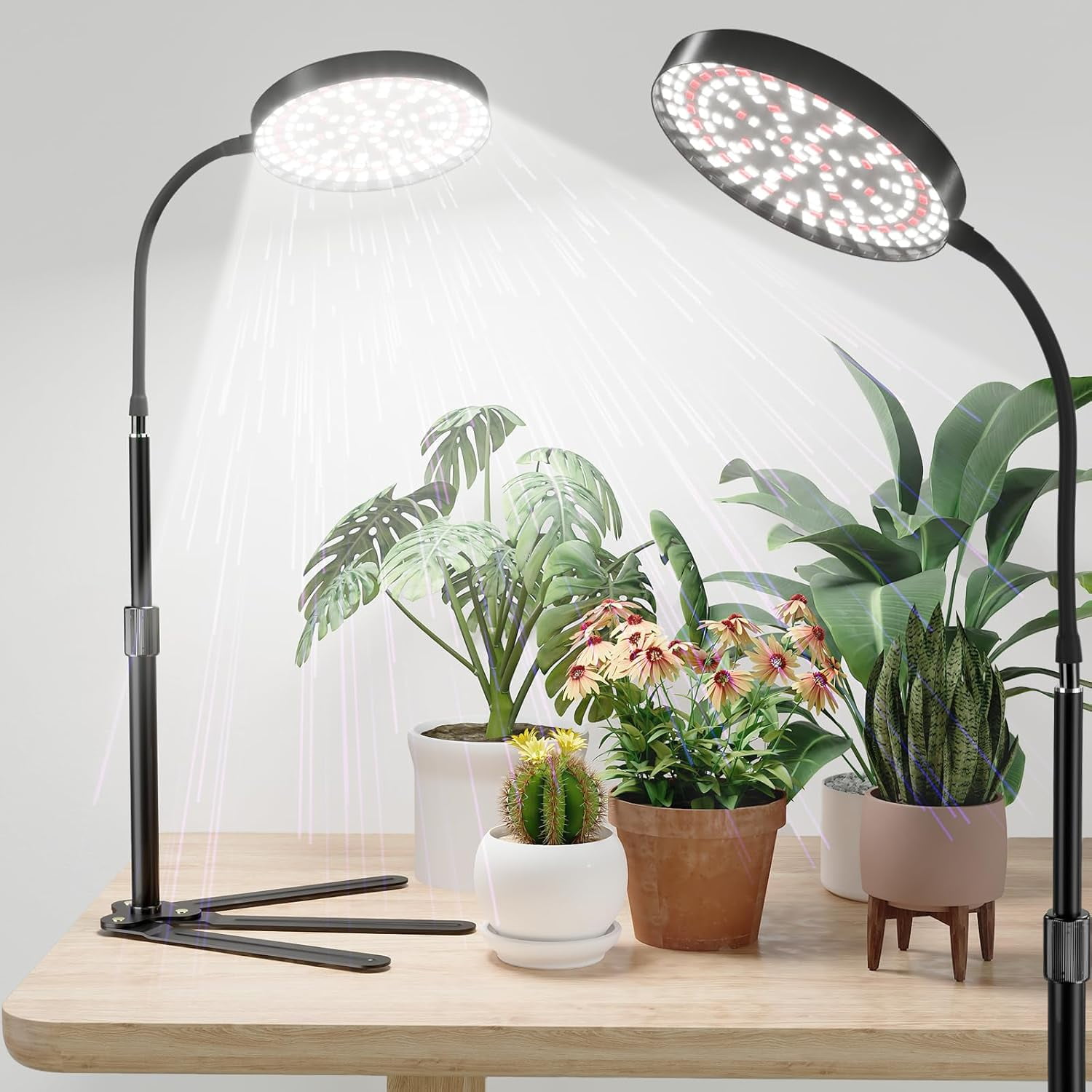 Super-bright Grow Light 100w, 6000k 216leds White Full Spectrum Plant