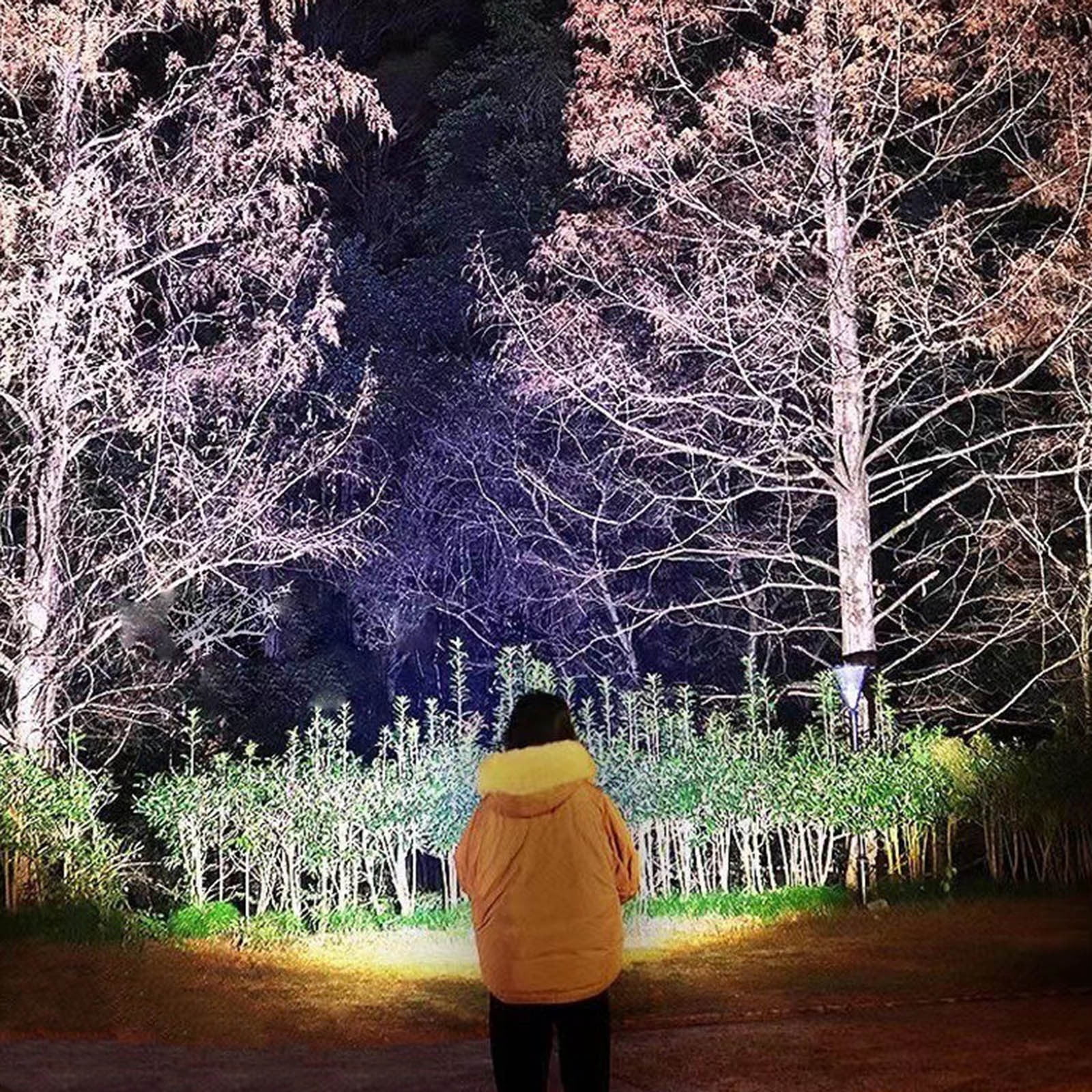 Super Bright Rechargeable High Power Headlamp,LED Rechargeable Head ...