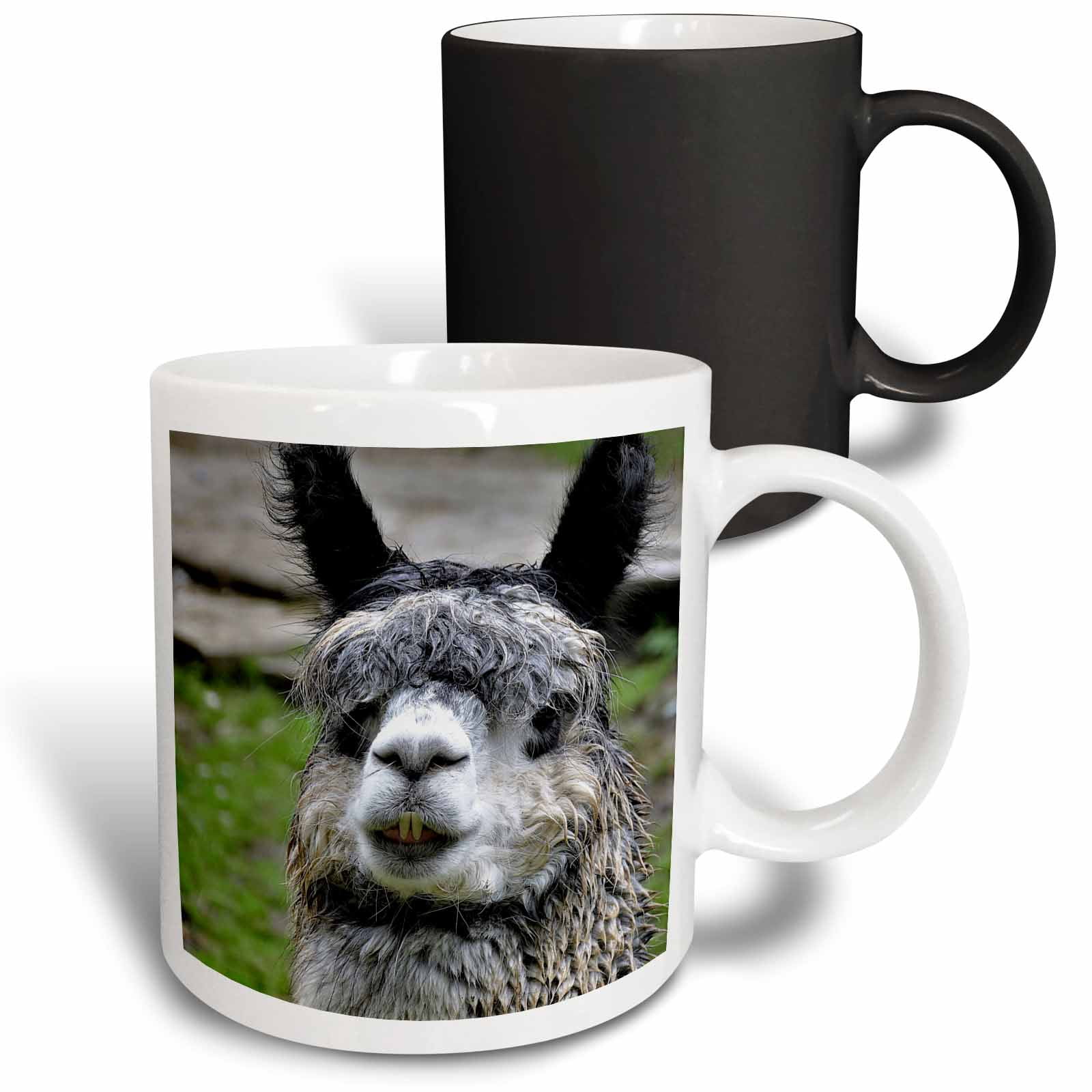 3drose, Super Cute Furry Alpaca Wildlife Photography, 11oz Magic ...