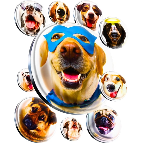 Super Cute Glass Magnets – Decorative Multipack Set with Strong Grip ...