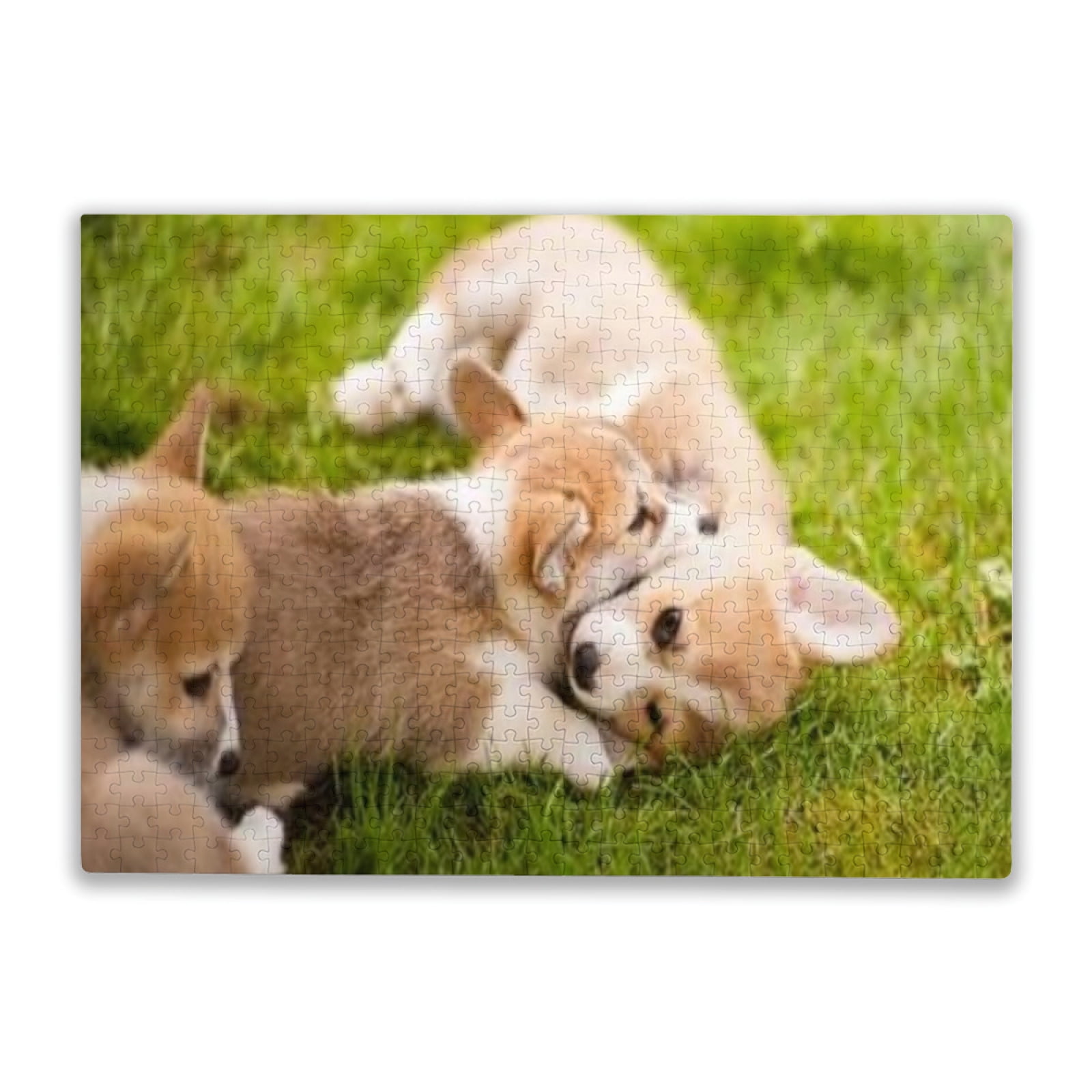 Super Cute Little Koki Playing Outdoors Jigsaw Puzzles for Adults -DIY ...