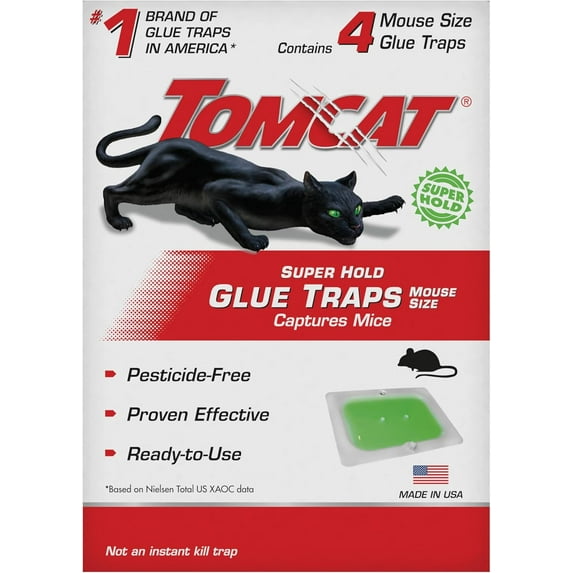 Super Hold Glue Traps Mouse Size for Mice, Cockroaches, Spiders, and ...
