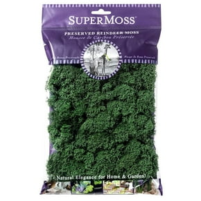 SuperMoss