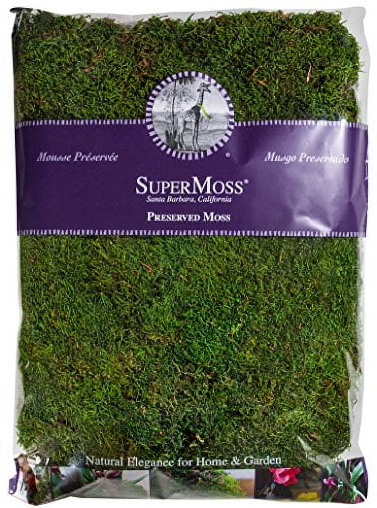 Super Moss 21513 Preserved Sheet Moss, Fresh Green, 16-Ounce - Walmart.com