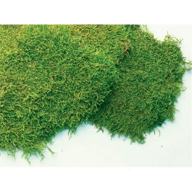Super Moss 21585 32 Oz Fresh Sheet Moss - Walmart.com