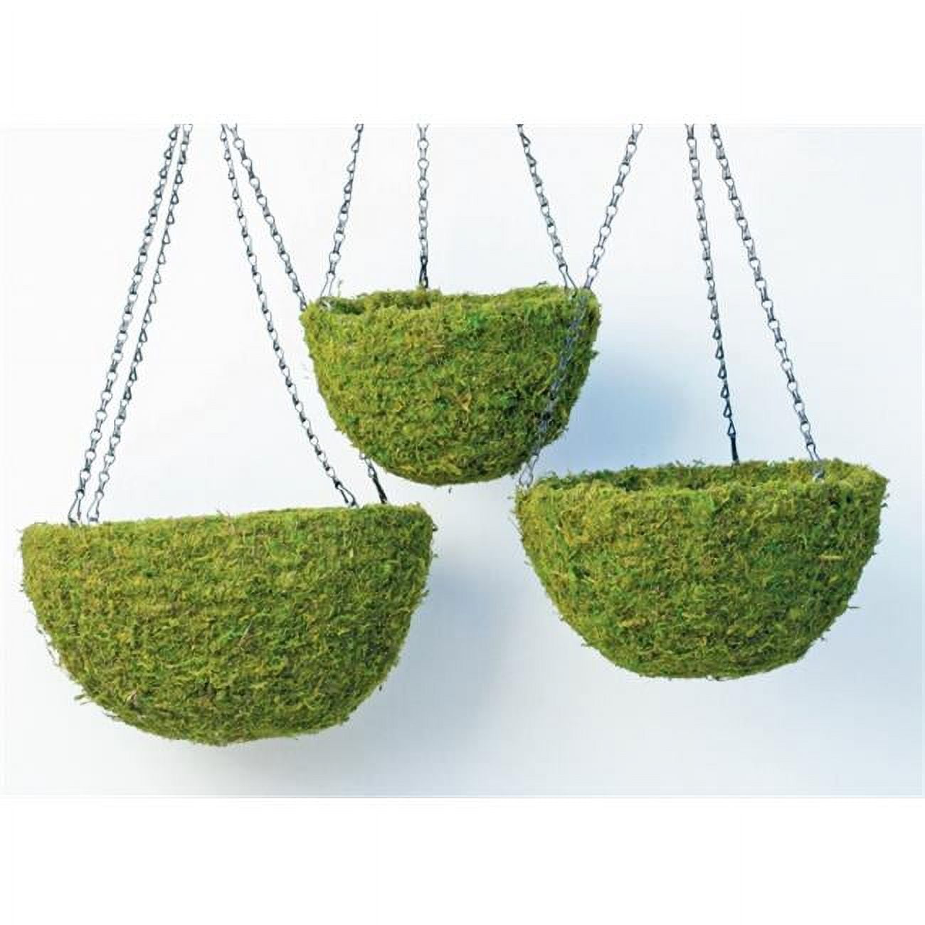 Super Moss MossWeave Medium Round Spring Green Hanging Basket 29320 ...