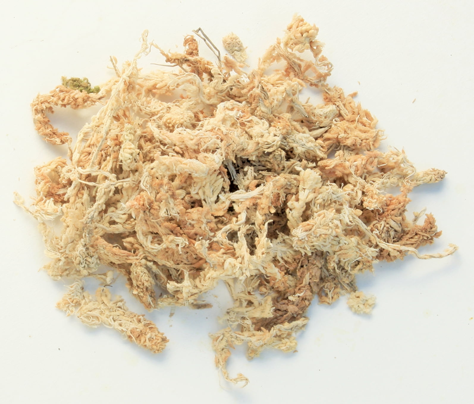 Super Moss Orchid Sphagnum Moss Dried Natural Color 1 Pound Mini Bale ...