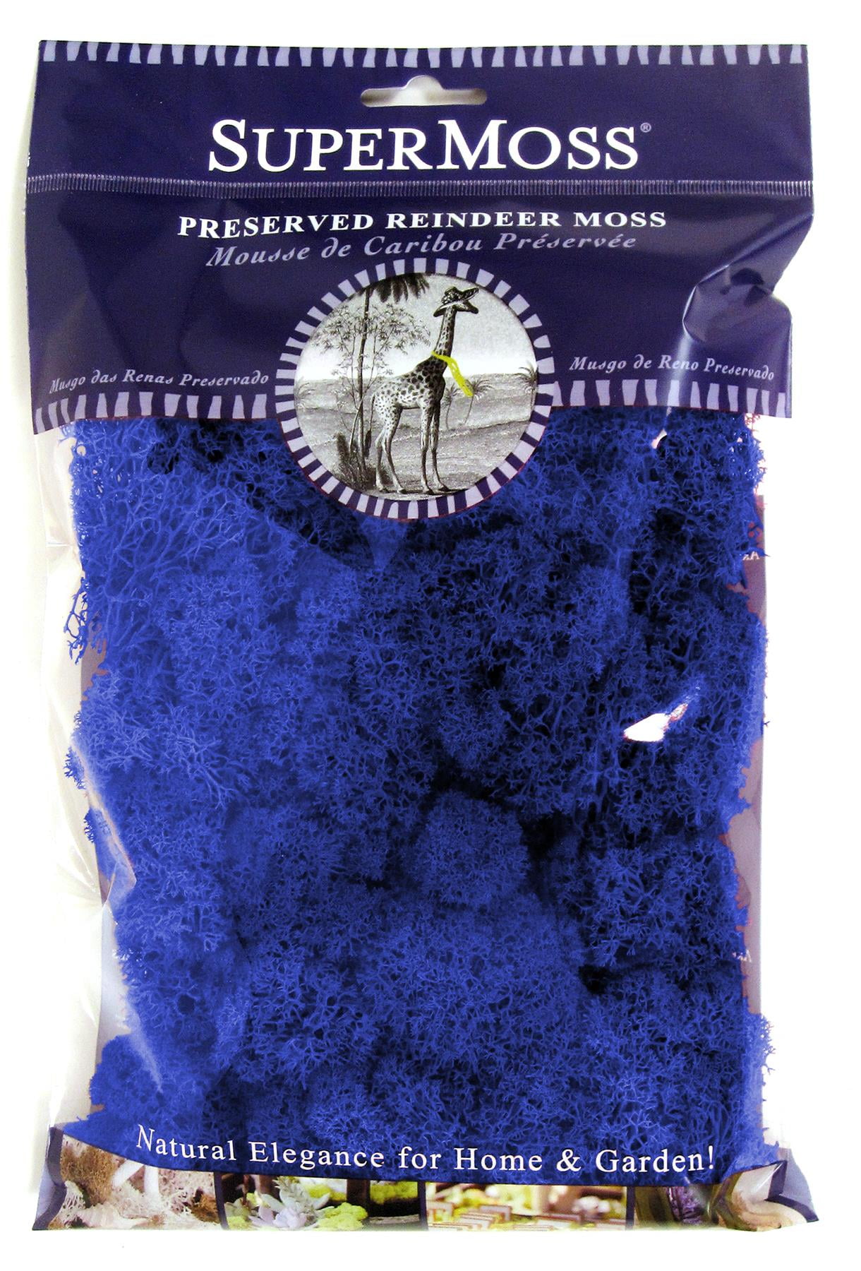 Super Moss Preserved Reindeer Moss, Royal Blue, 1oz - Walmart.com