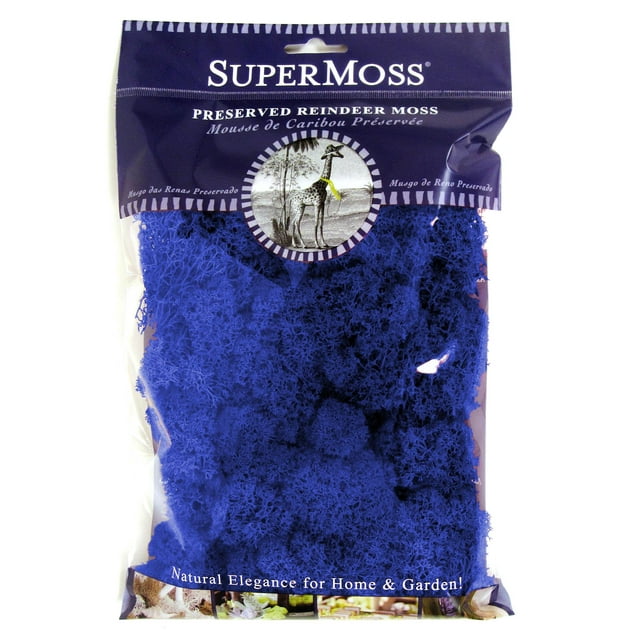 Super Moss Preserved Reindeer Moss, Royal Blue, 1oz - Walmart.com