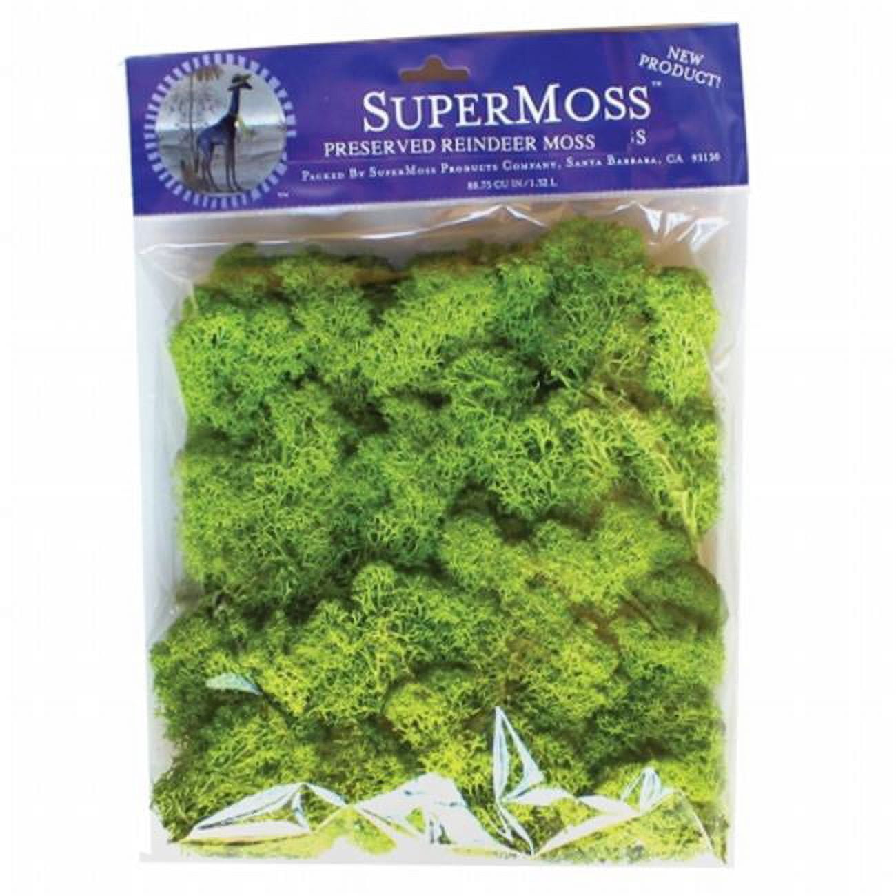 Super Moss Products Co SPM21707 SuperMoss 4oz Reindeer Moss Chartreuse ...