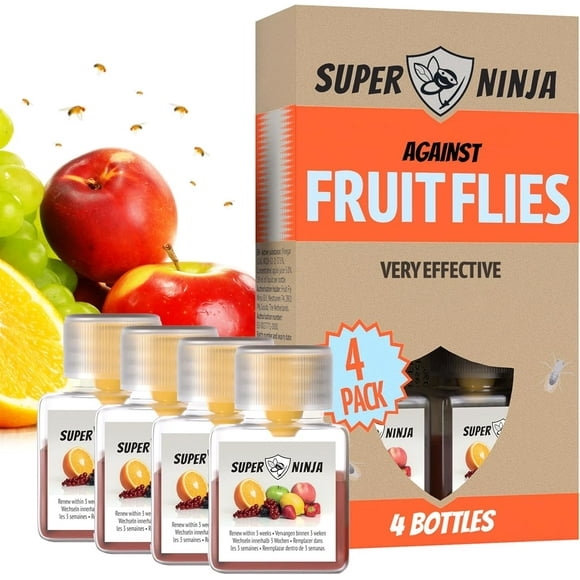 Fruit Fly and Gnat Traps in Fly - Walmart.com