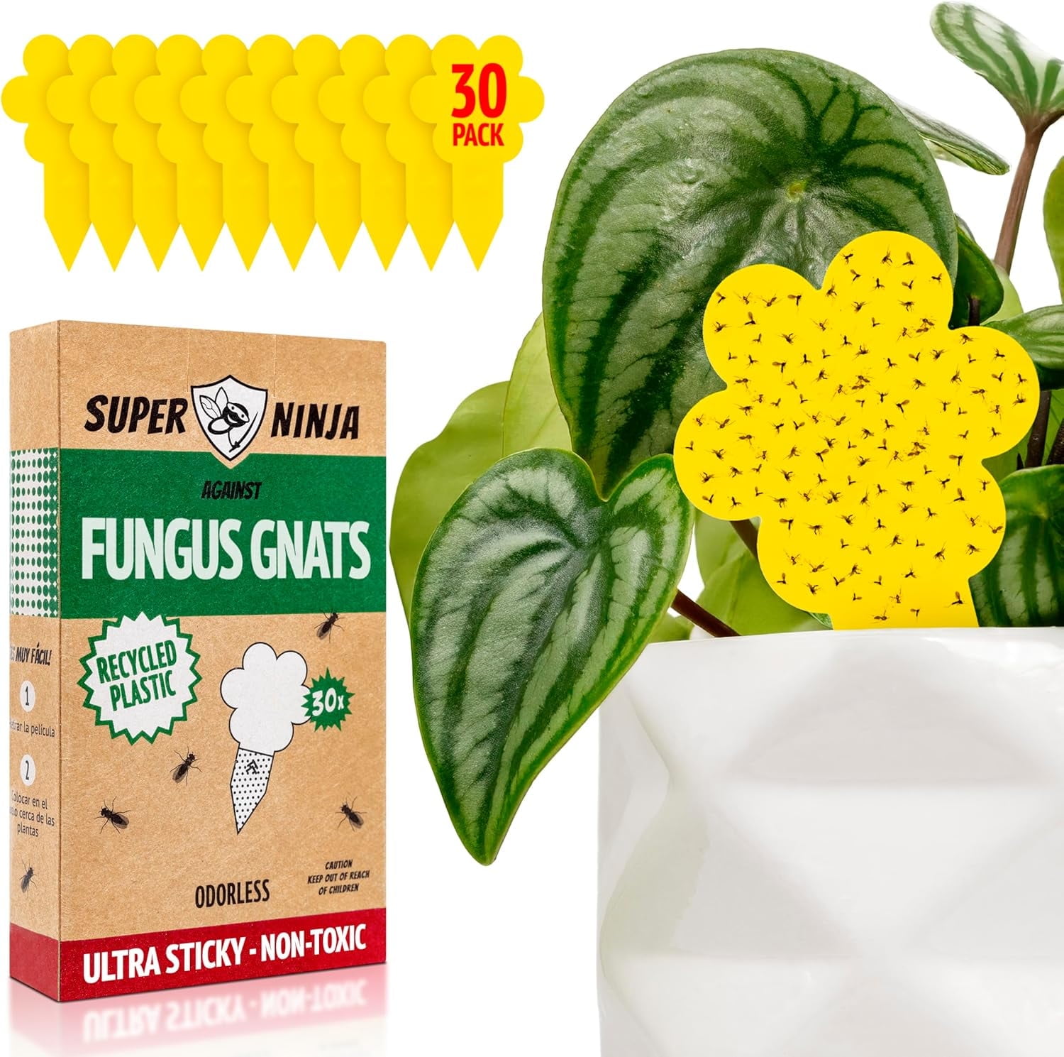 Super Ninja Gnat Traps for Indoor Plants, 30 Sticky Pads, Odourless Bug ...