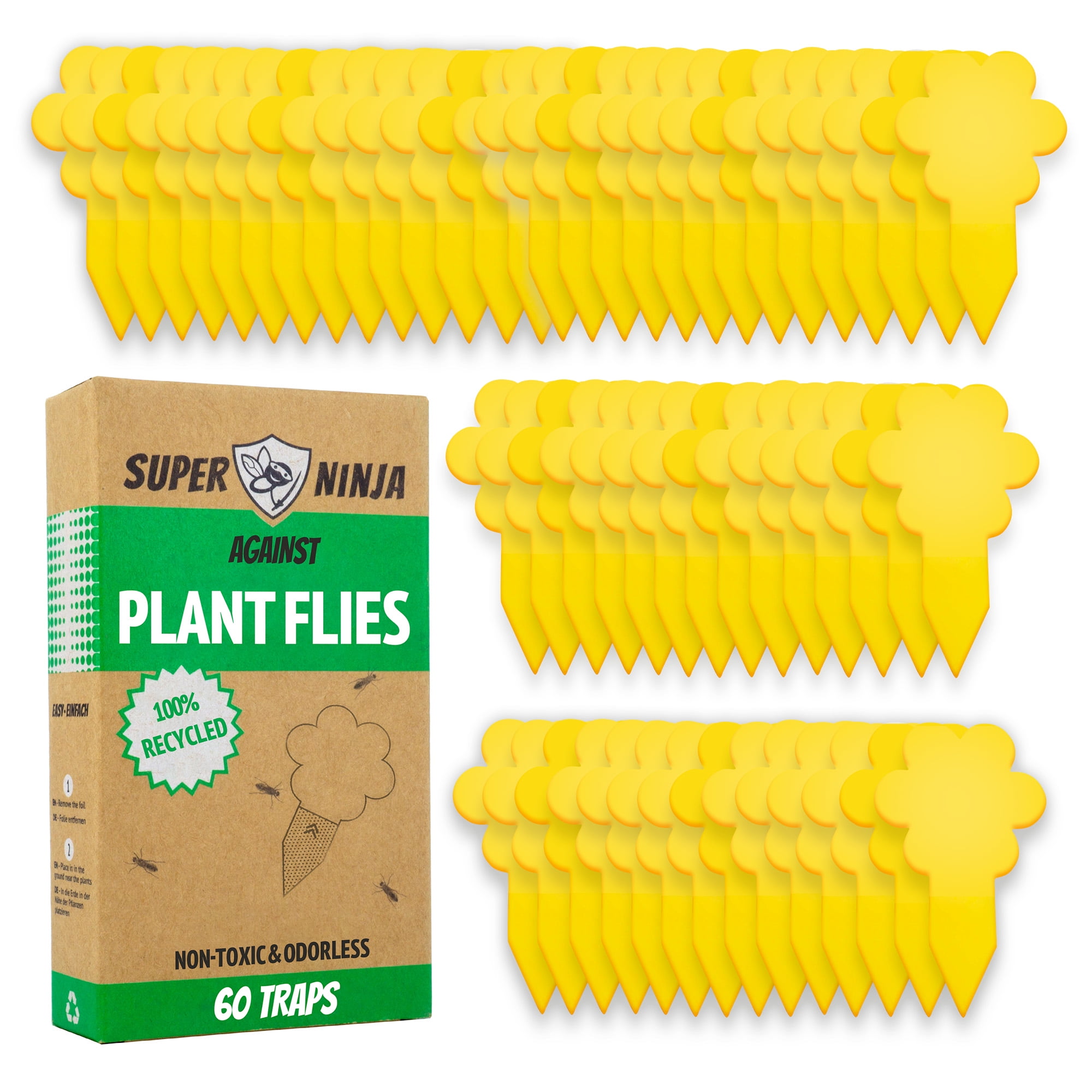 Super Ninja Gnat Traps for House Indoor - 60 Traps - Highly Effective ...