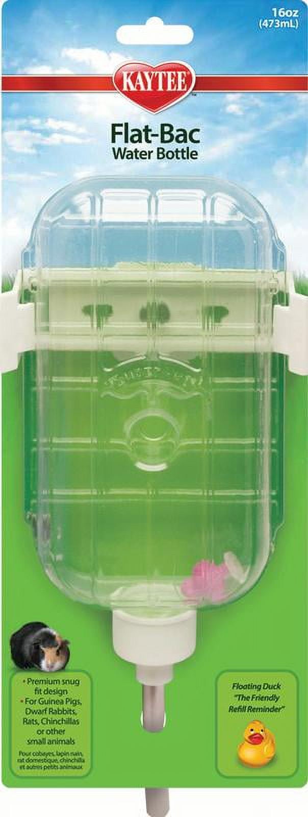 Super Pet Flat-Bac Premium Quality Water Bottle 16 oz - Walmart.com