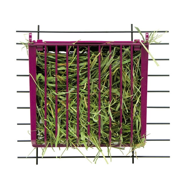 Super Pet Rabbit Hay Buffet Feeder With Snap-Lock Lid (Colors May Vary ...