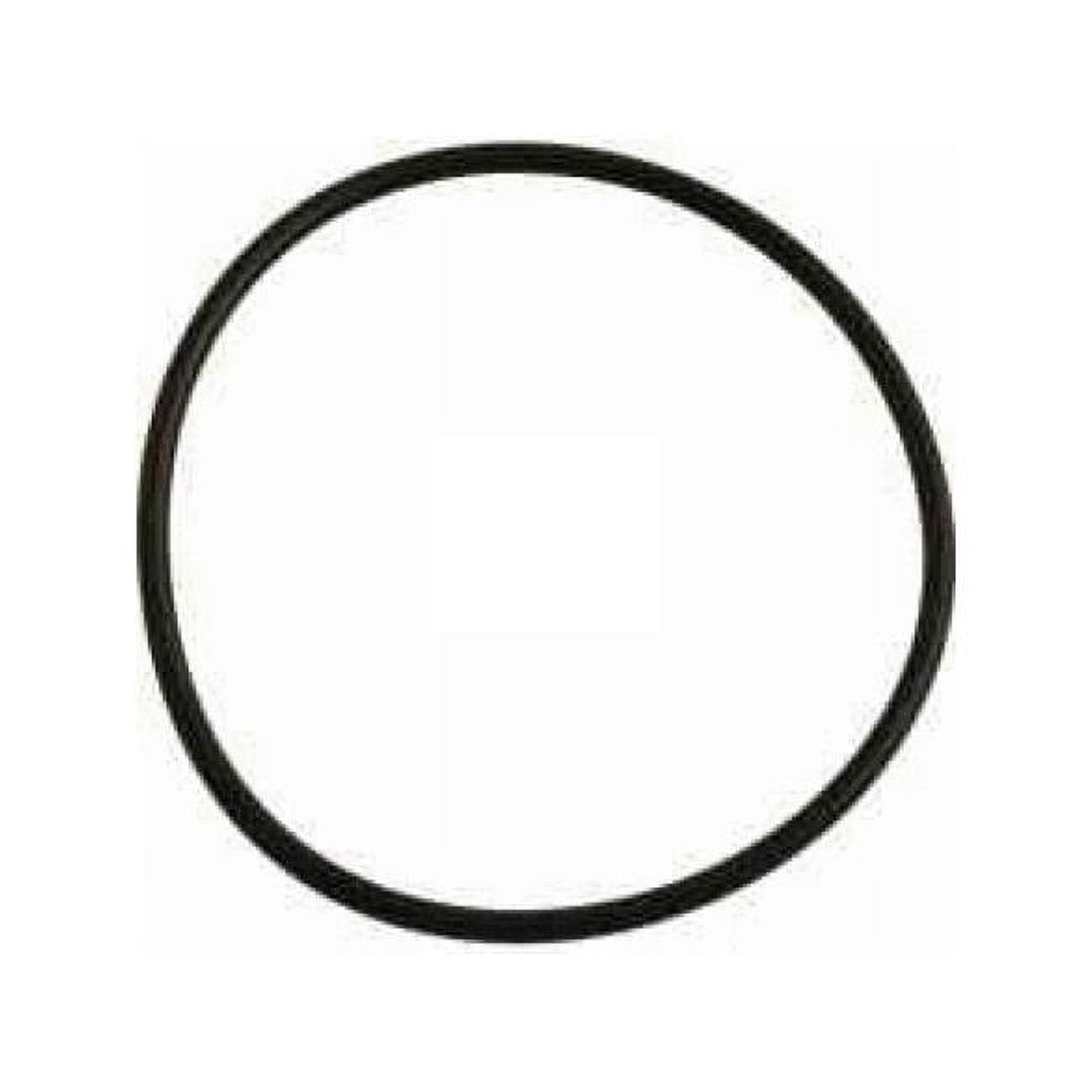 Super-Pro O-459-9 4.87 ID x 5.25 OD x 0.18 in. Cross Section EQ Series Diffuser O-Ring - Walmart.com