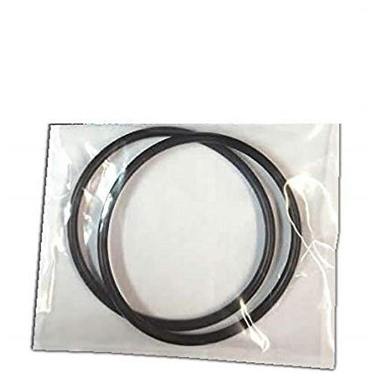 Super-Pro O-654V O-Ring for In-Line & Off-Line Chlorinator Lid Viton ...