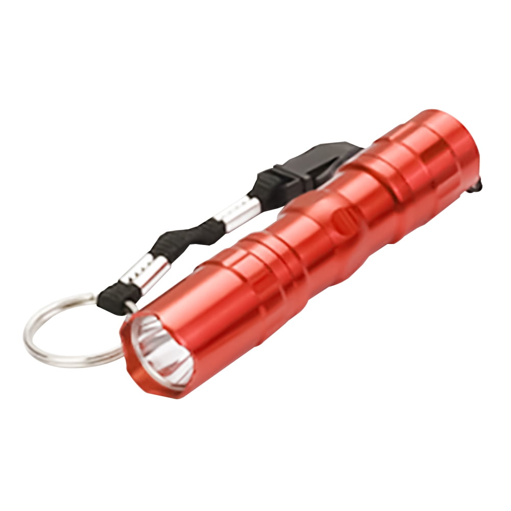 Super Small Mini LED Flashlight Battery-Powered Handheld Pen Light ...