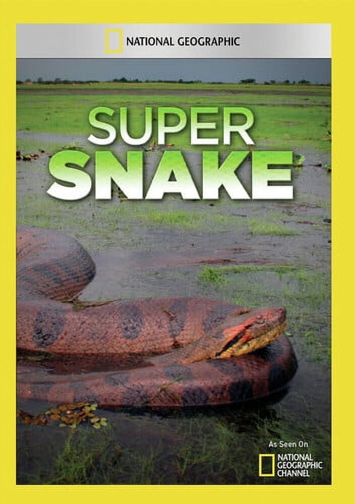 Super Snake (DVD), National Geographic, Documentary - Walmart.com