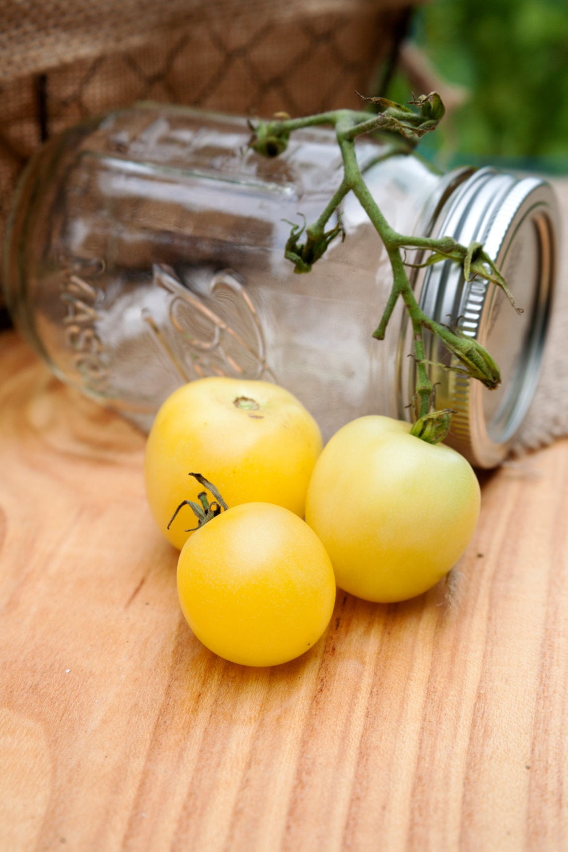 Super Snow White Heirloom Tomato Premium Seeds Packet - Walmart.com